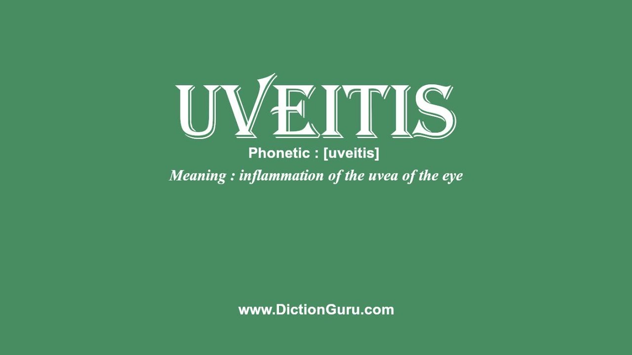 How To Pronounce Uveitis With Meaning Phonetic Synonyms And Sentence