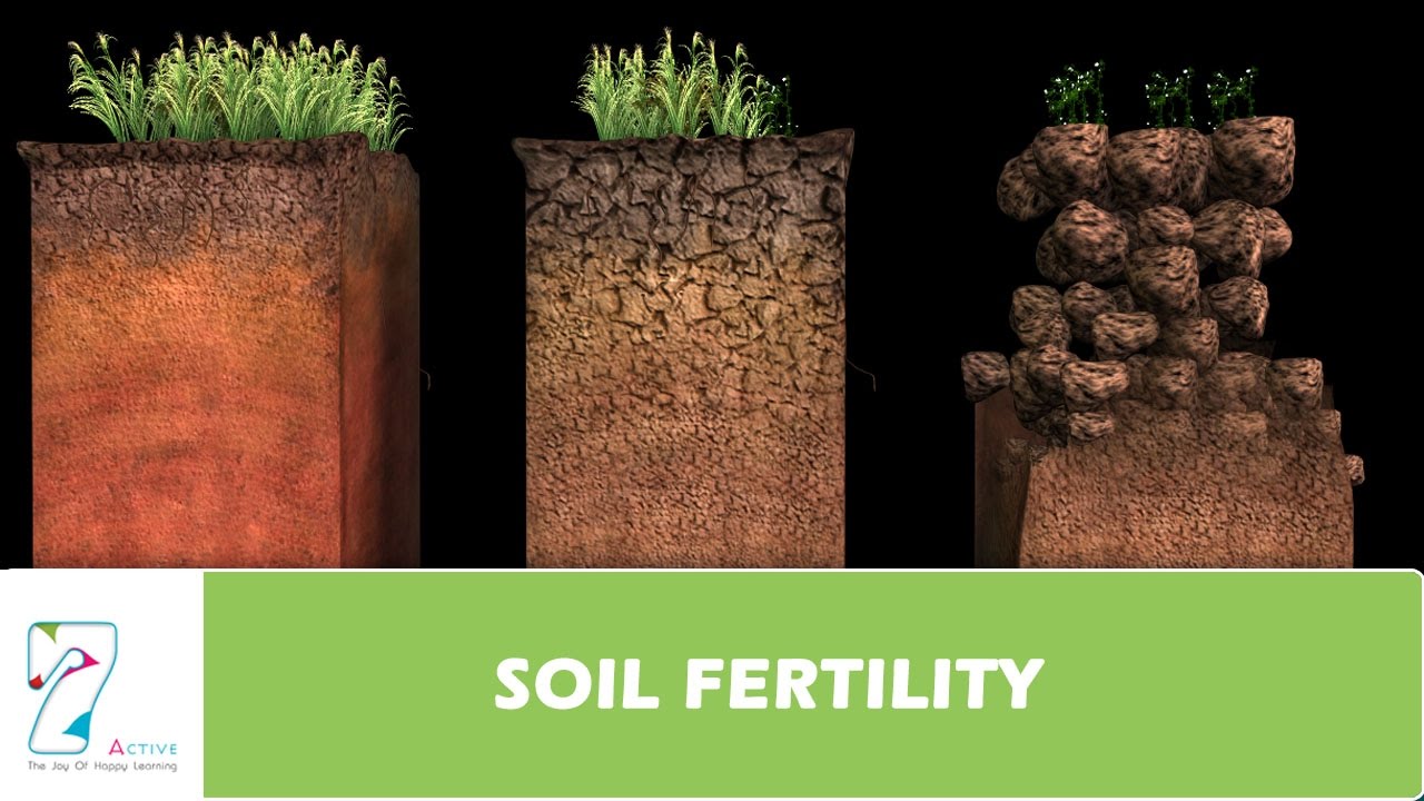 Soil Fertility Youtube