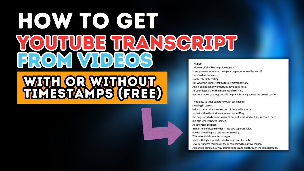 How To Get Transcript From Youtube Video With Or Without Timestamps