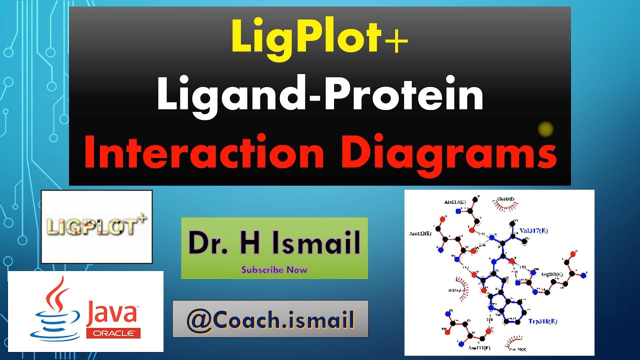 Ligplot Installation Tutorial Visualize Ligand Protein Interactions