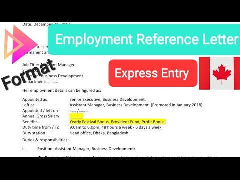 Employment Reference Letter Format Express Entry Oinp Canadian