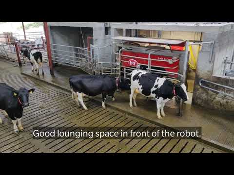 Converting To Dairy Shed Designed For Two Lely Robots Youtube