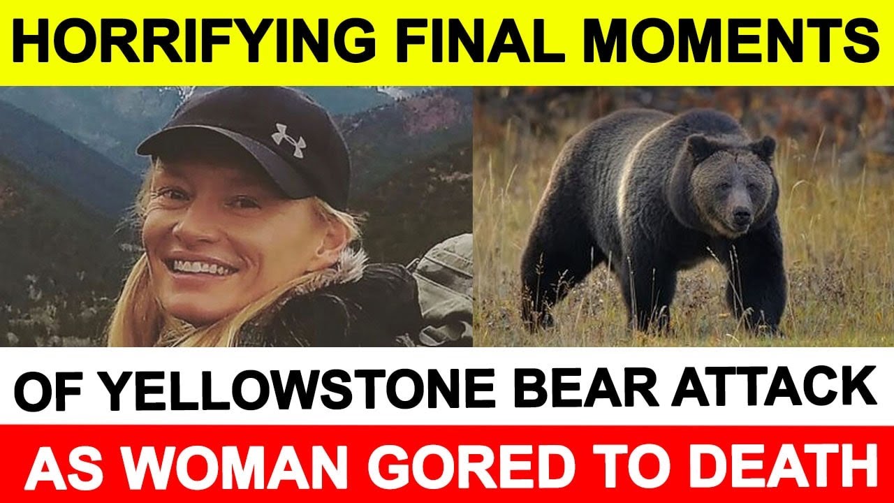 News24 Live рџ ґ Horrifying Final Moments Of Yellowstone Bear Attack As