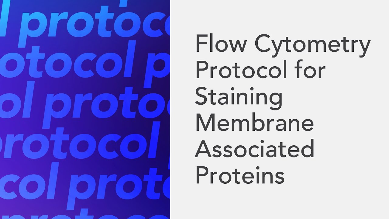 Flow Cytometry Protocol For Staining Membrane Associated Proteins Youtube