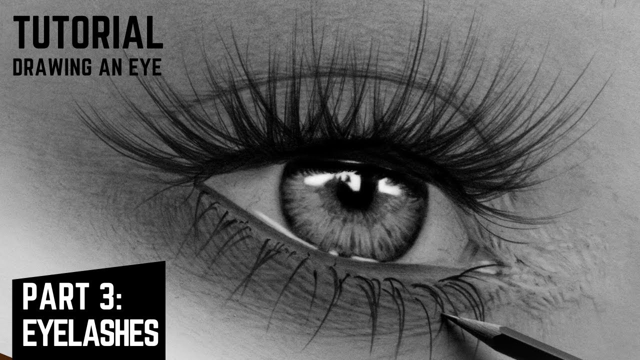 How To Draw Realistic Eyelashes Step By Step