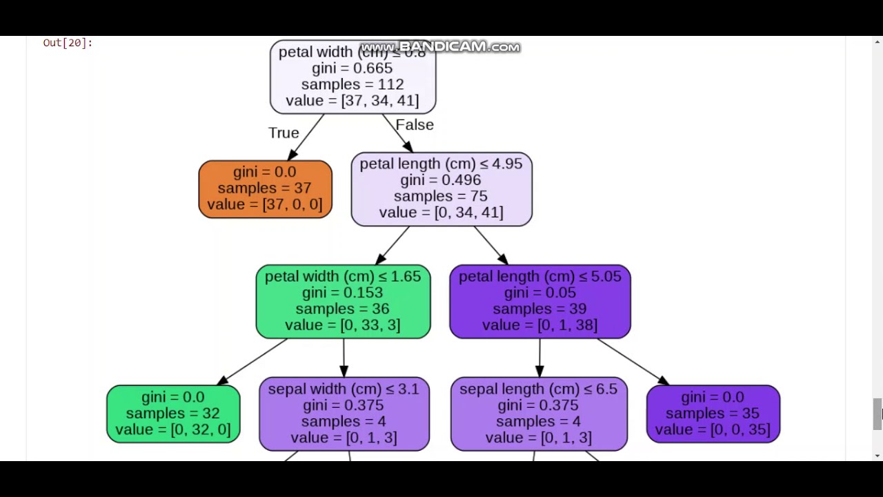 Prediction Using Decision Tree Algorithm On Iris Dataset Task 6 Youtube