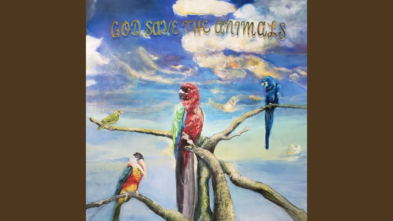 Miracles Youtube Music