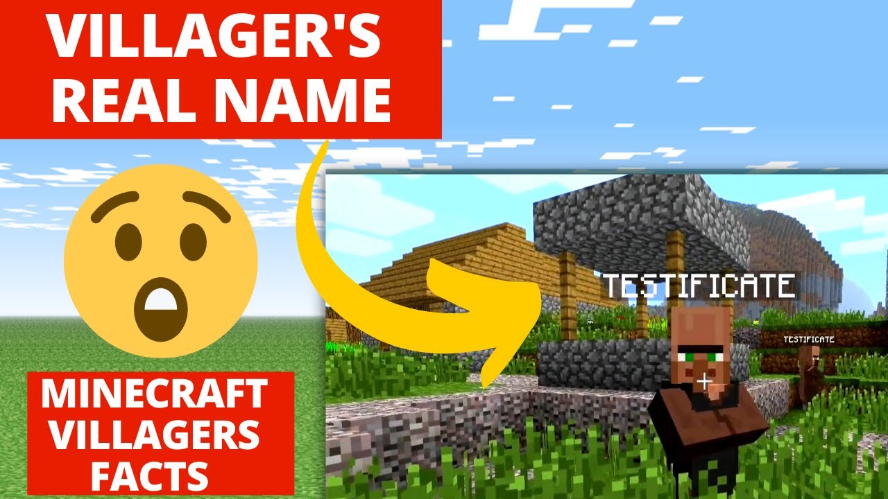 Things You Didn T Know About Villagers In Minecraft Youtube