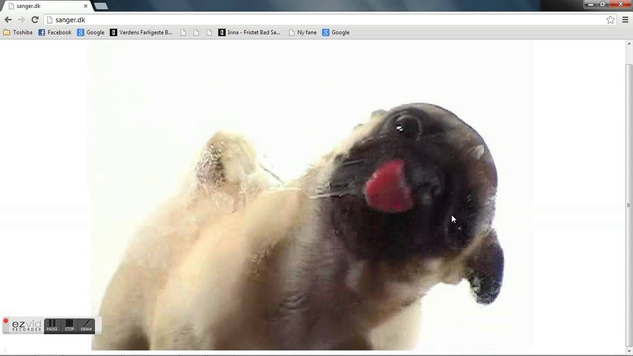 Dog Licking Your Screen Nothing Else Youtube