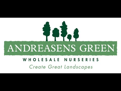 Andreasens Green Video Youtube