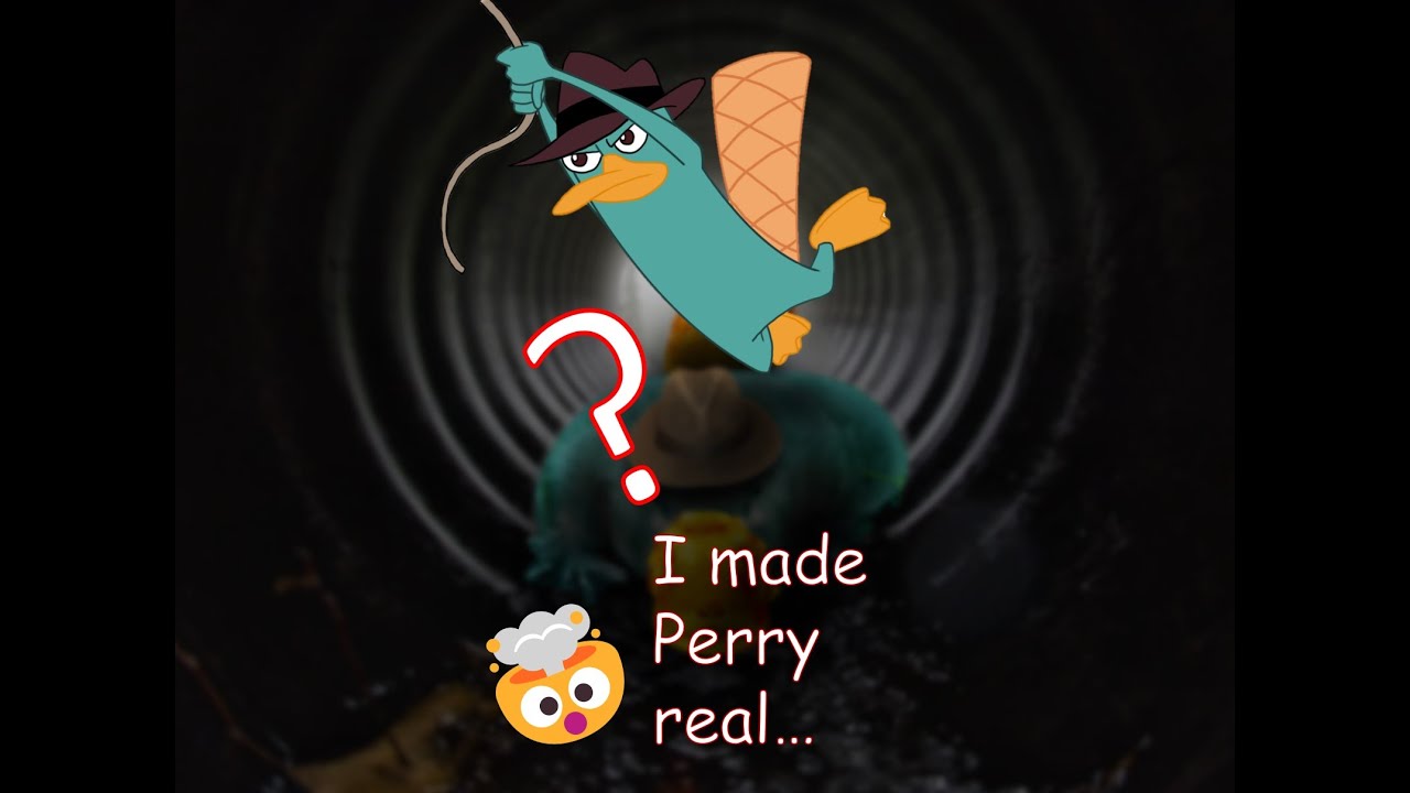 Realistic Perry The Platypus Youtube