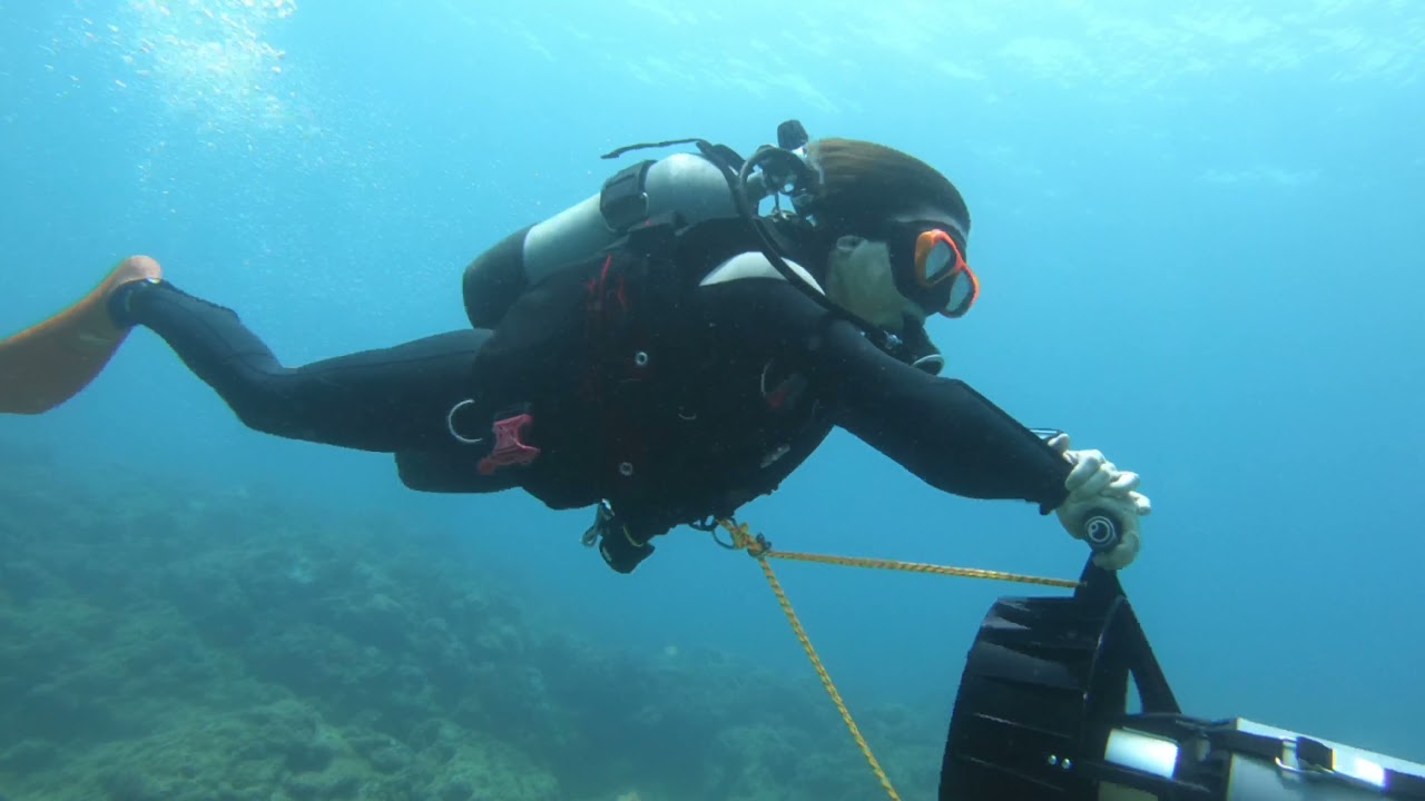 First Dpv Diving 初めてのdpvダイビング Youtube