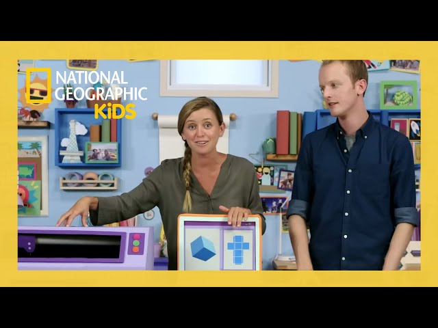 Master Crafters рџ µ Weird But True Full Episode Natgeokids Videos