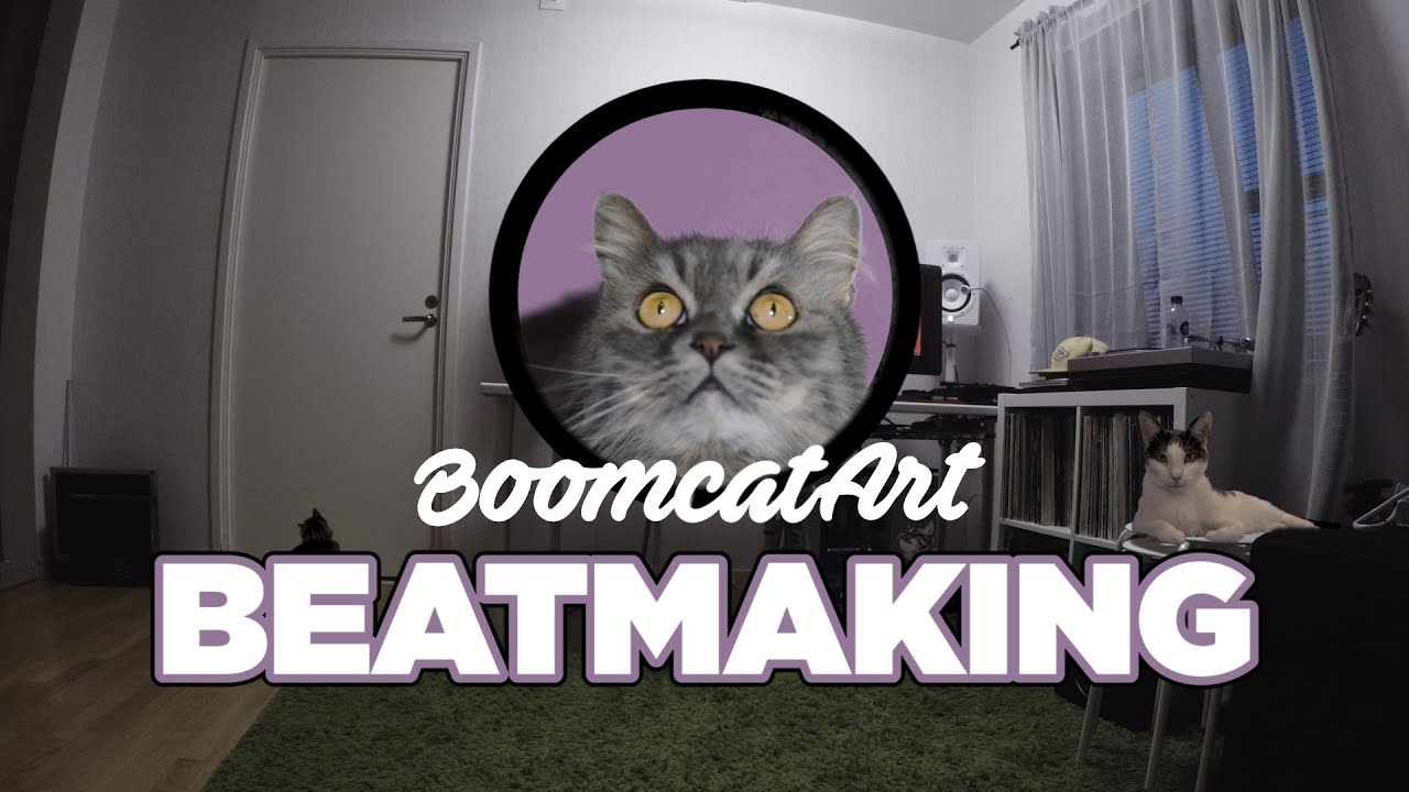 Maschine Mk3 Boom Bap Cat Youtube