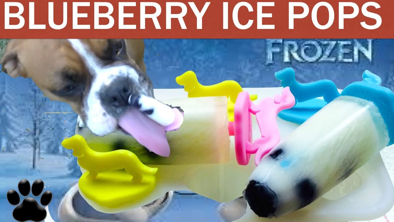 How To Make Frozen Blueberry Dog Ice Popsicle Lolly Ice Cream Pops