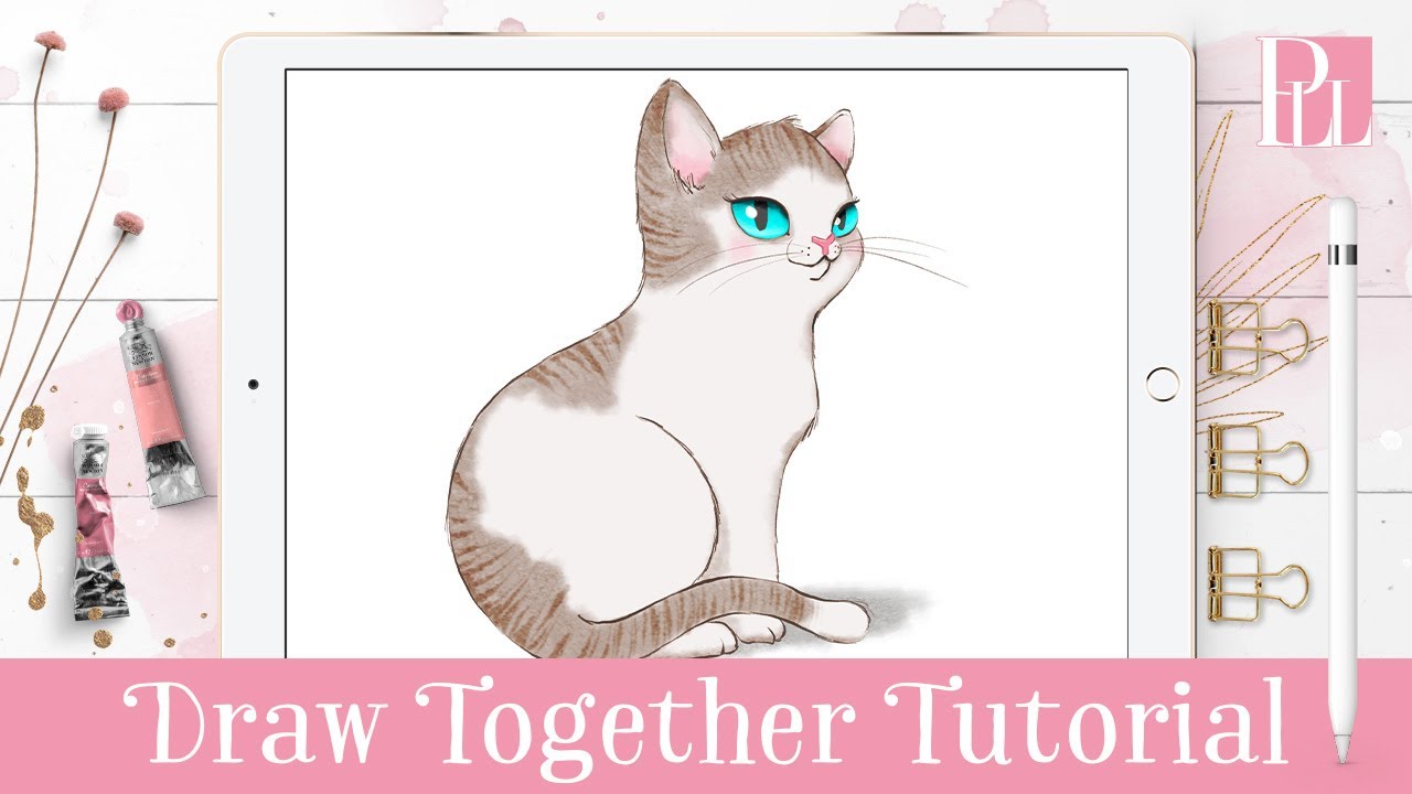 How To Draw A Cute Cat At In Procreate Step By Step Tutorial Ipad