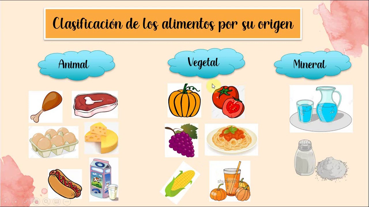 14 Tema Origen De Los Alimentos