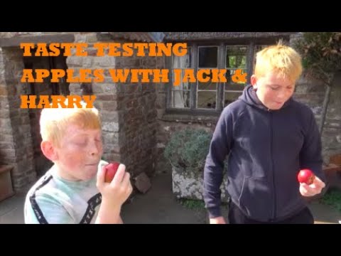 Taste Testing Apples With Jack Harry Youtube