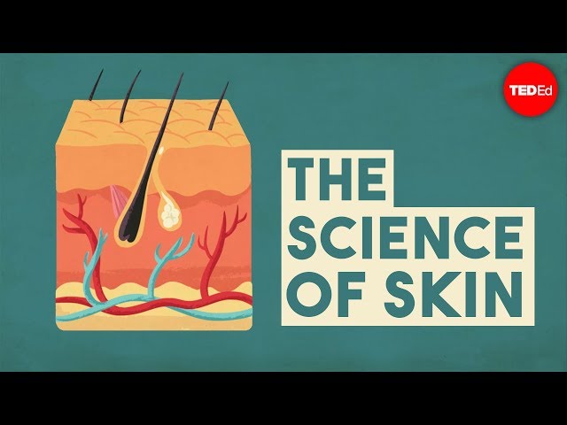 The Science Of Skin Emma Bryce Videos For Kids
