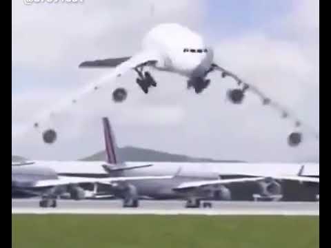 Plane And Bird Danceрџ јрџ јрџ јрџ јрџ јрџ јрџ јрџ јрџ ј Youtube