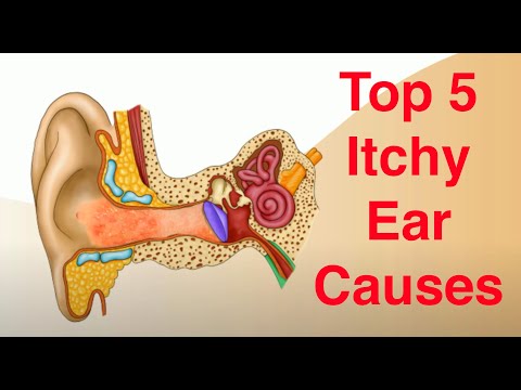 When An Ear Infection Is Healing Does It Itch