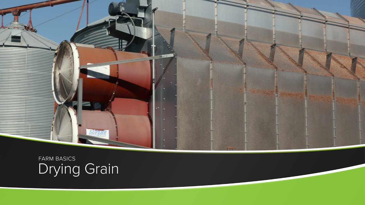 Drying Grain Youtube