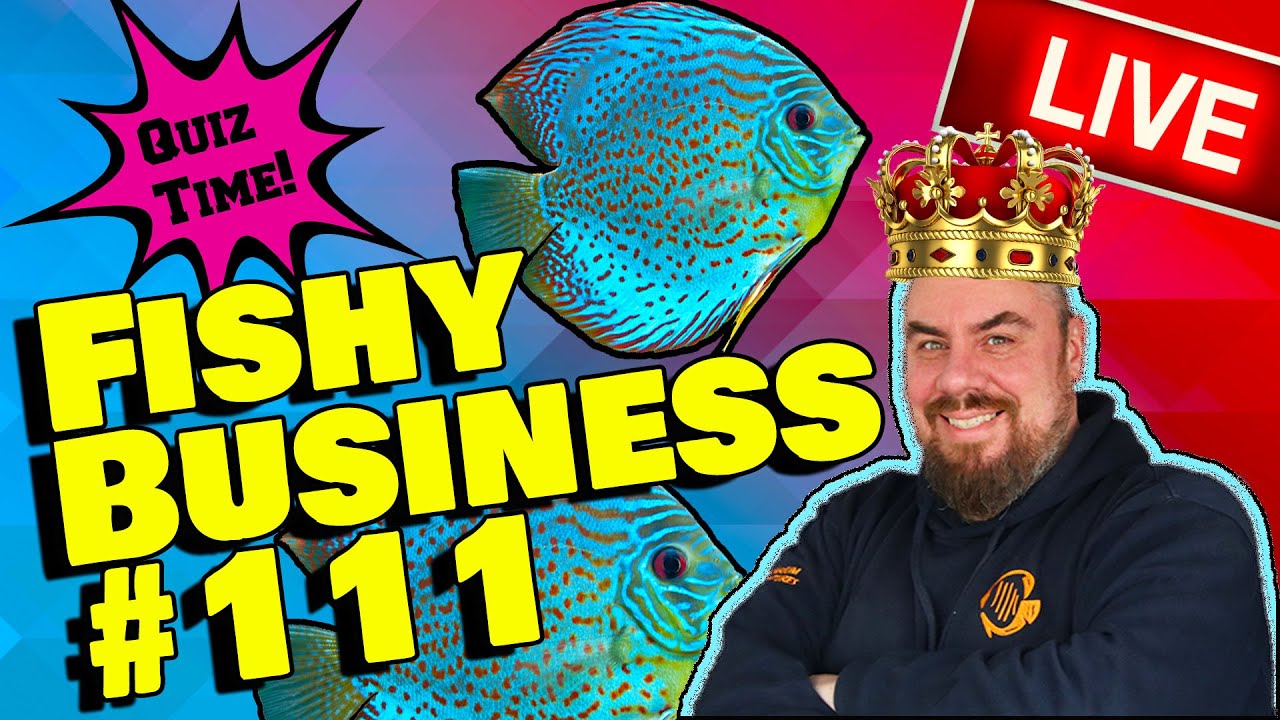 Friday Night Live Fishy Business 111 Youtube