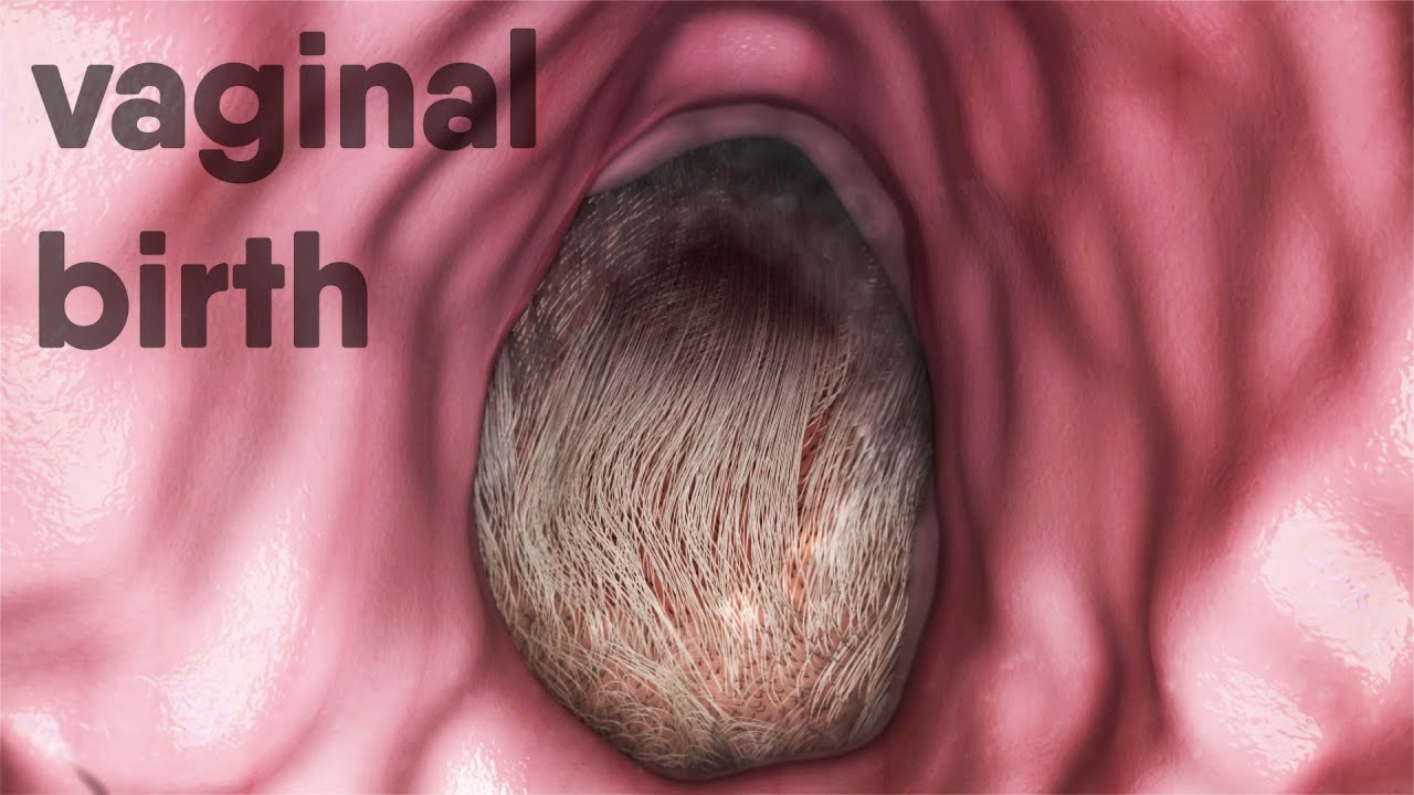 Vaginal Birth Natural Childbirth Youtube