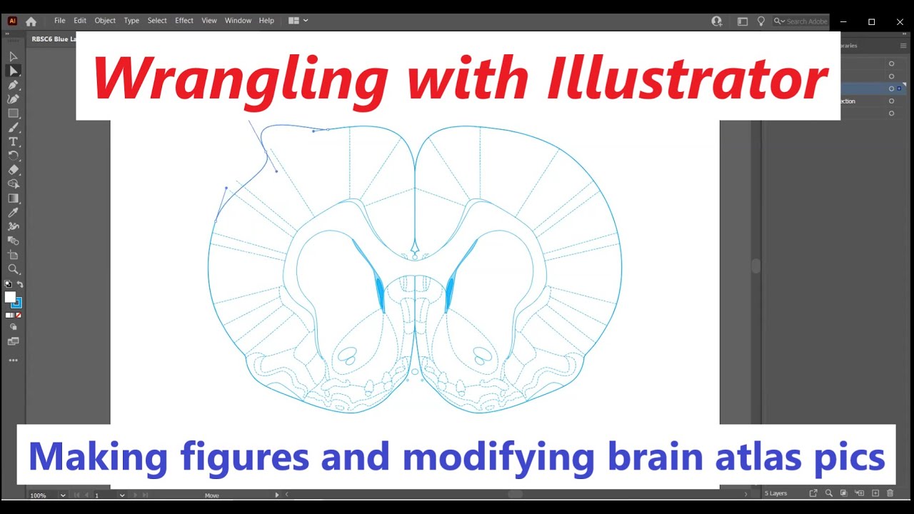 How To Use Adobe Illustrator 2021 For Brain Figure Making Youtube