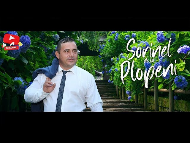 Colaj Sarbe Acordeon si Orga 2024 Sarbe Hore 2024 Sorinel