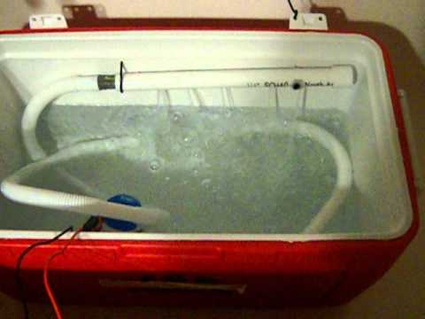 Cooler Livewell Youtube