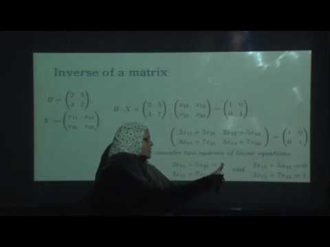 Math204 Tutorial 8 Youtube