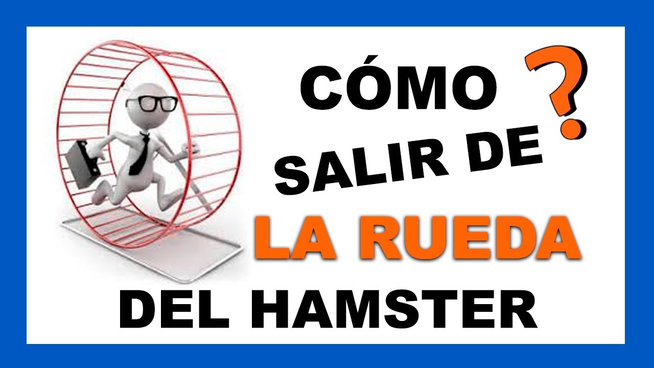 Gestión Del Tiempo Como Salir De La Rueda Del Hamster Youtube