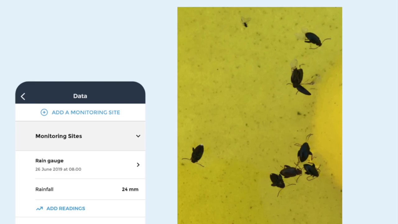 Recording Farm Measurements With Fieldmargin Youtube