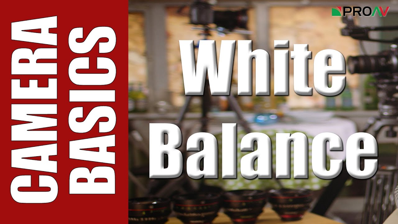 White Balance Camera Basics Youtube