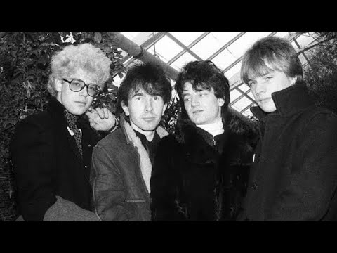 U2 Tv 1978 Youtube