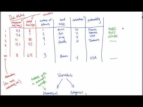 Data Matrix And Variable Types Youtube