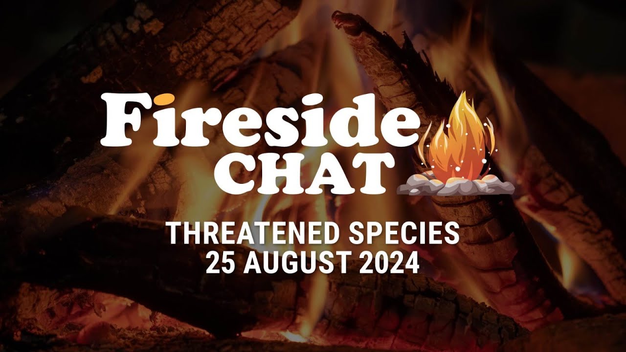 Fireside Chat Threatened Species 25 August 2024 Youtube