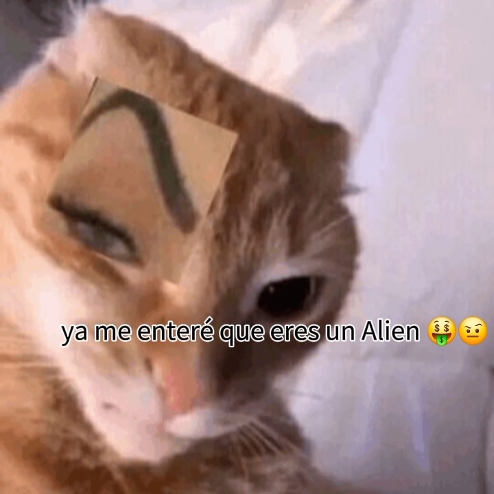 Ya Me Enter й Que Eres Un Alienёядсёядщ Me Lo Dijo Alguienёяшм Youtube