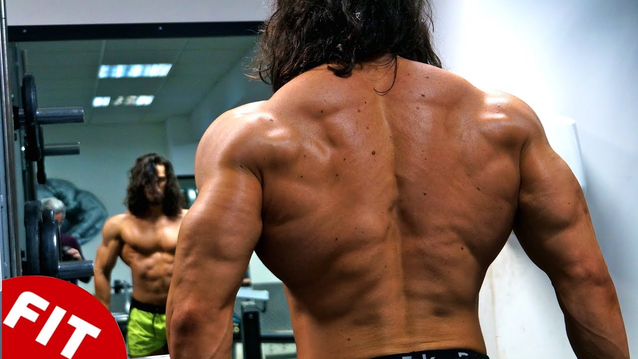 Your Perfect Back Workout Youtube