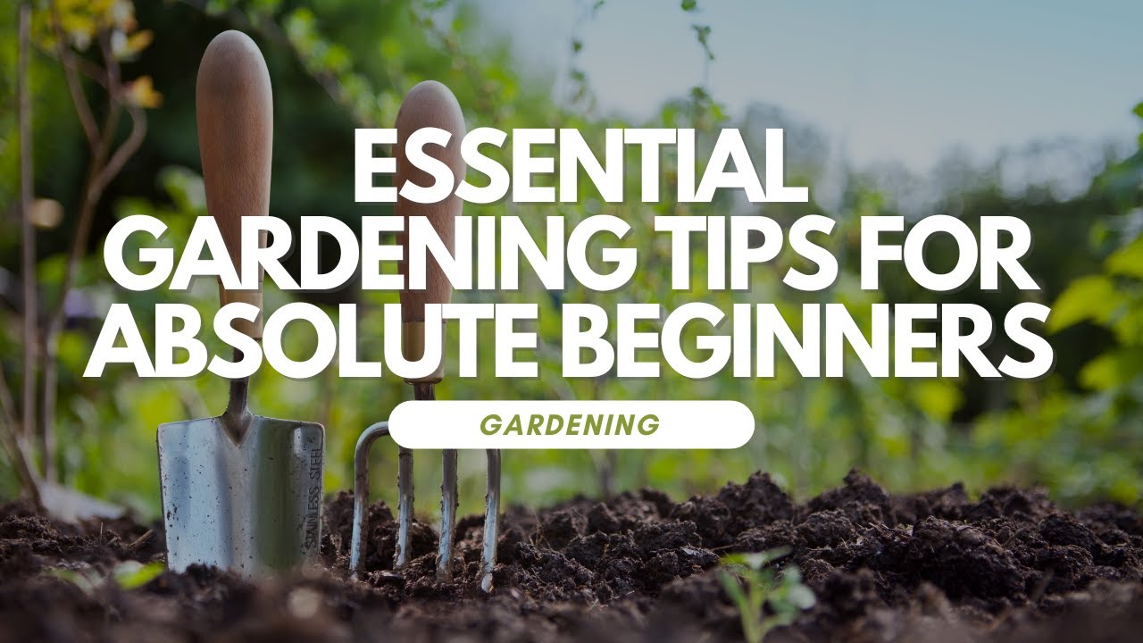 Start Your Green Thumb Journey Essential Gardening Tips For Absolute