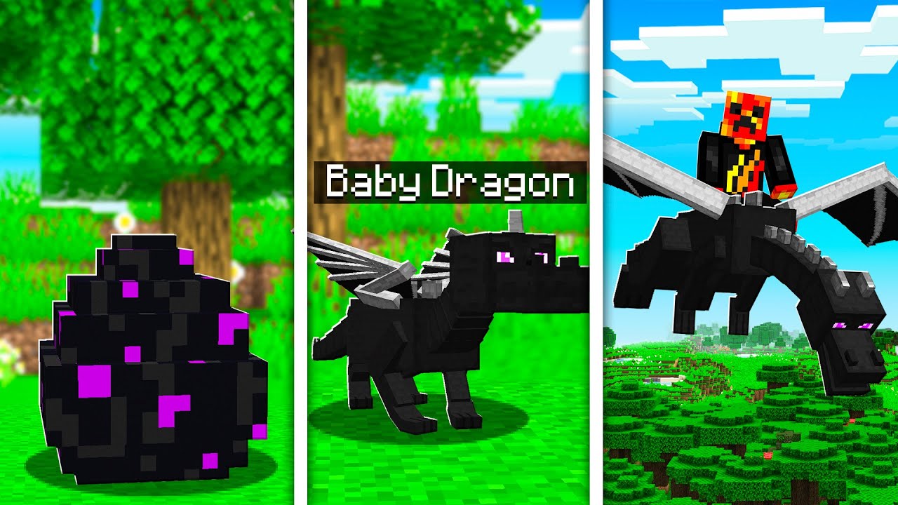 How To Train Your Dragon In Minecraft Pet Ender Dragon Youtube