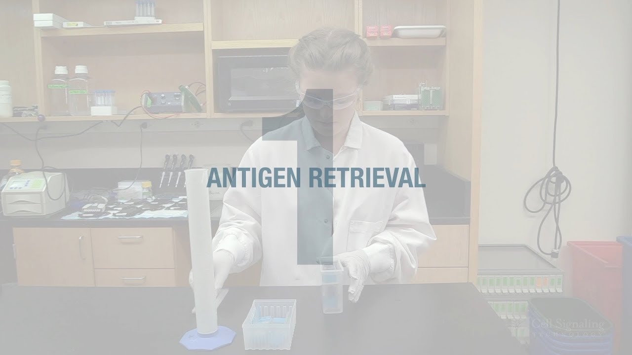 Better Ihc Step 1 Antigen Retrieval Youtube