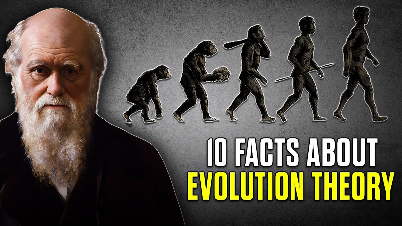 10 Facts About The Evolution Theory Charles Darwin Youtube