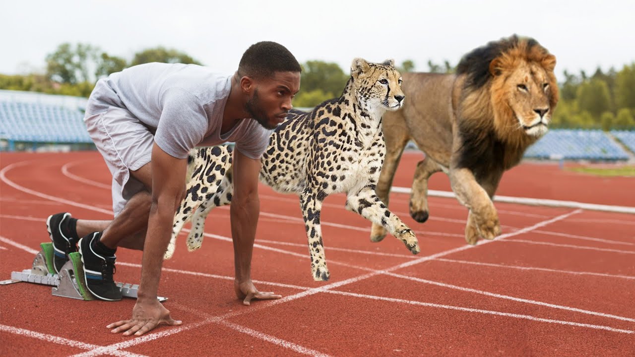 10 Fastest Animals On The Planet Earth Youtube