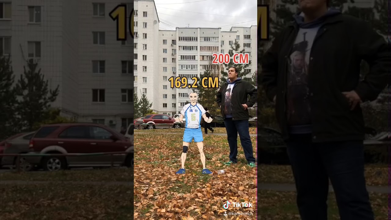 Haikyuu Height Comparison Youtube