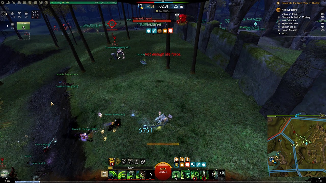 Gw2 Hacker Youtube
