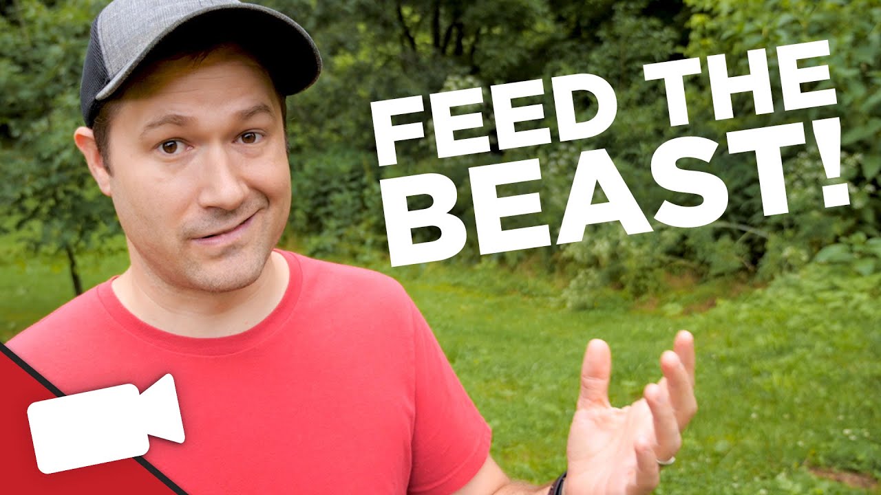 Does Youtube Promote Channels That Post More Youtube