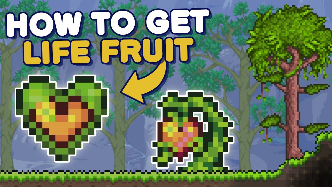 How To Find Life Fruits In Terraria Youtube