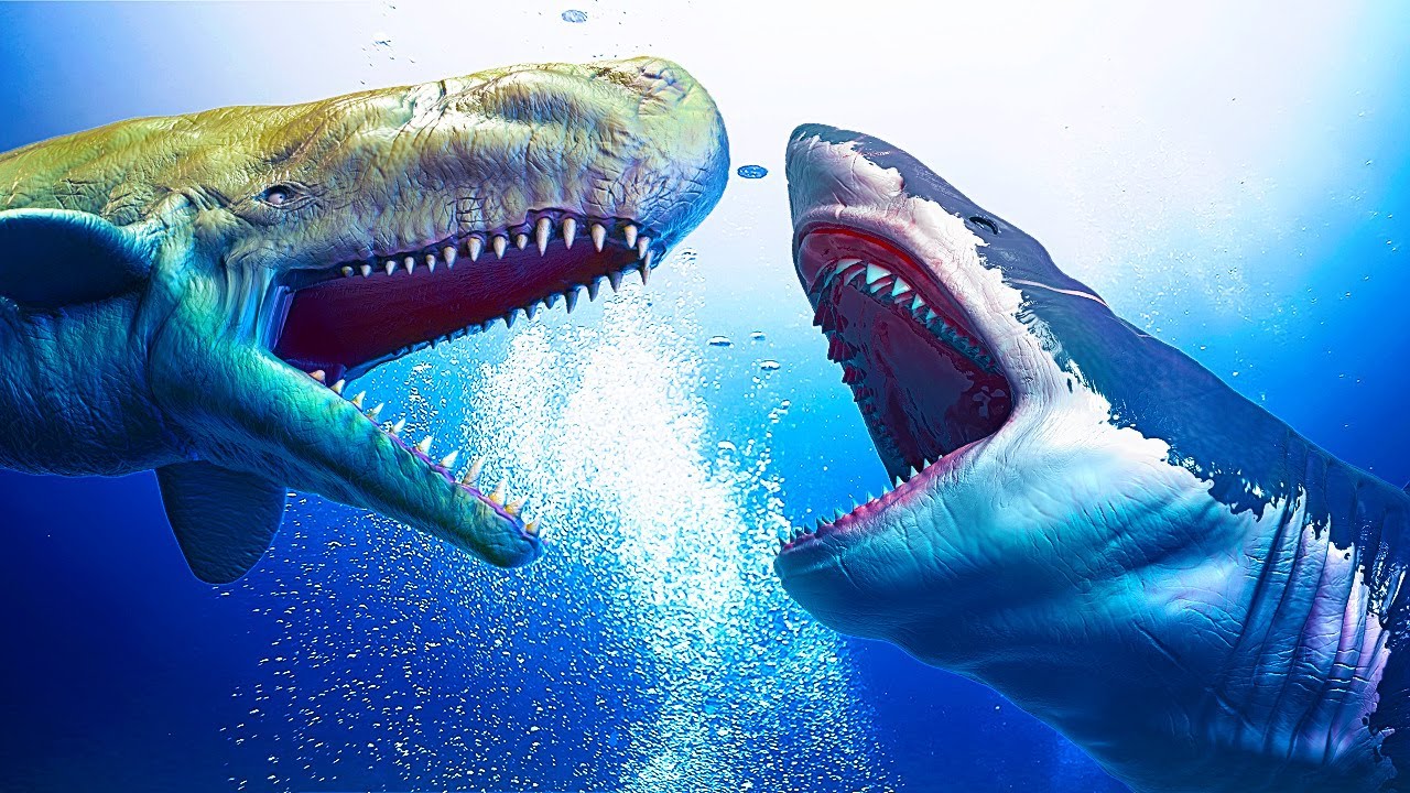 Megalodon Vs Livyatan Mana Pemenangnya Youtube
